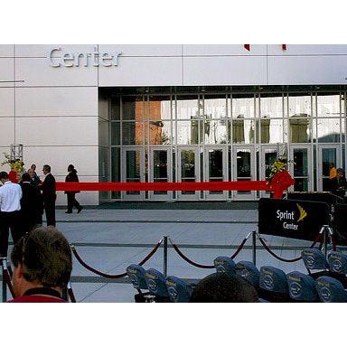 12 inch wide Velvet Ribbon - Golden Openings